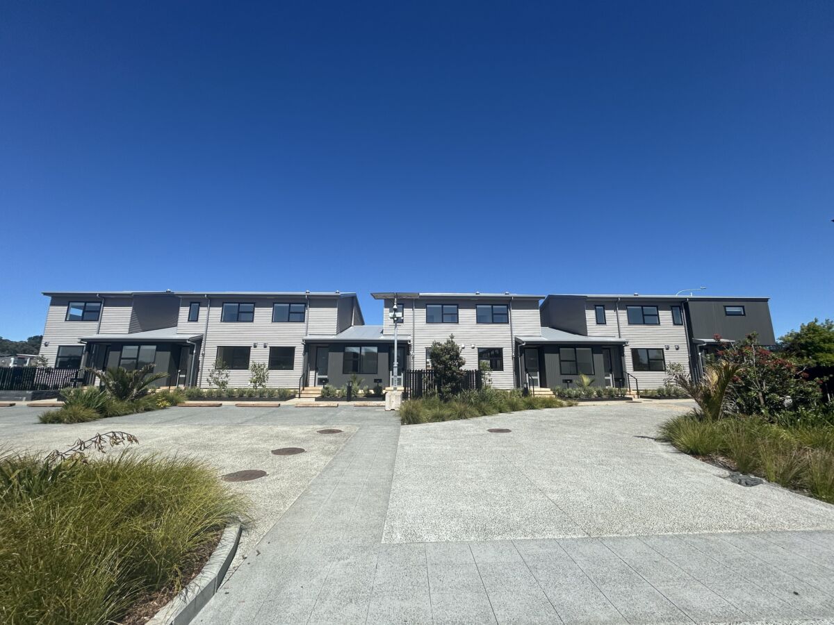 SWANSON 项目 - Lucas and Max